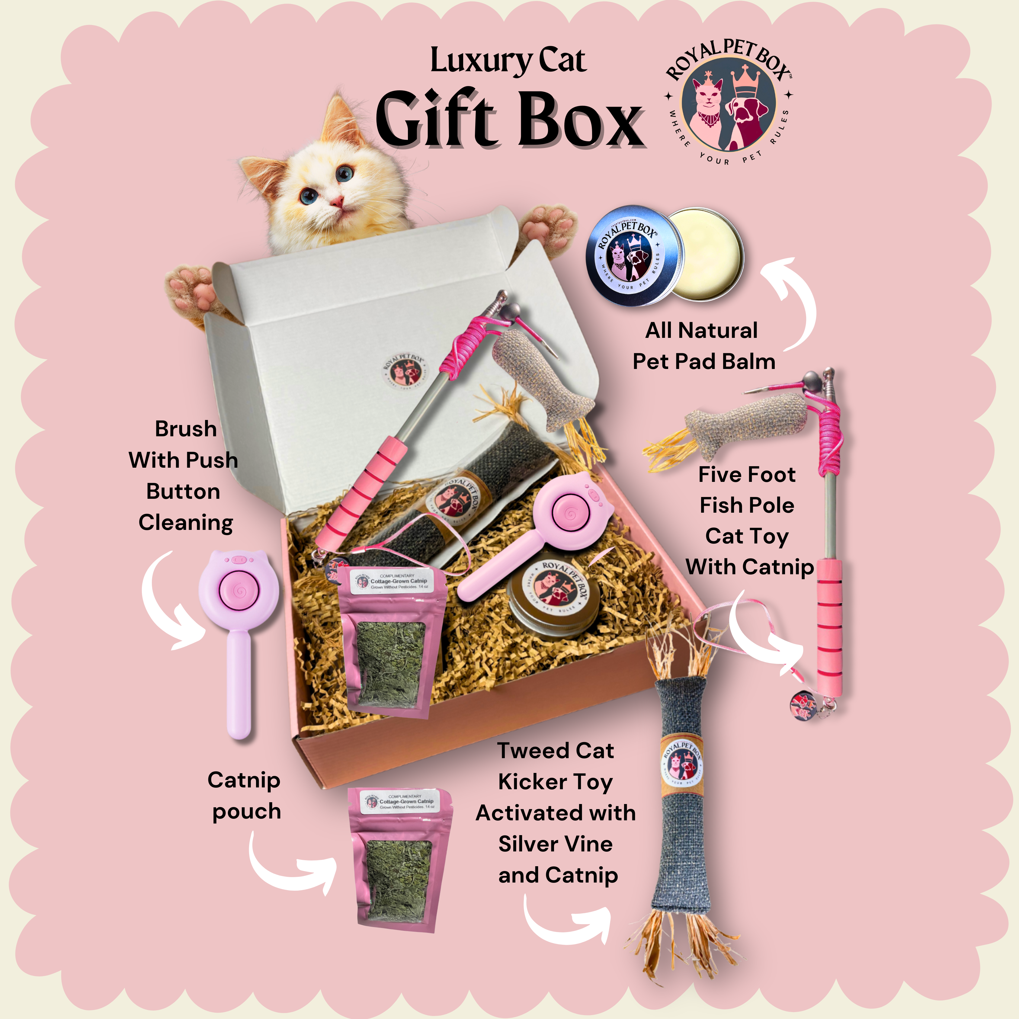 Luxury Cat Box Gift Set Bundle With Catnip Toys & More – Royal Pet Box LLC